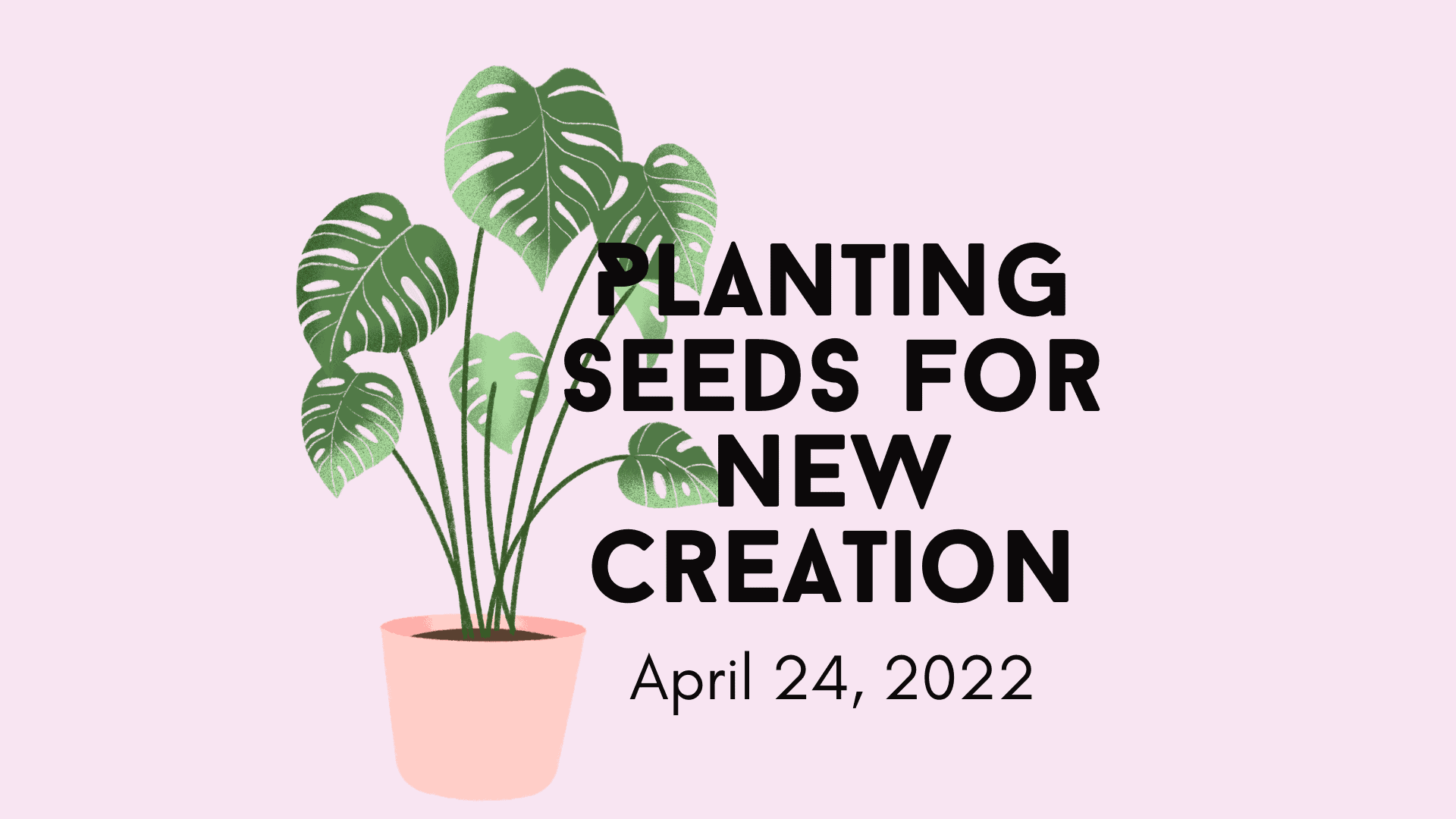 Planting Seeds for New Creation | First United Methodist Church of Omaha
