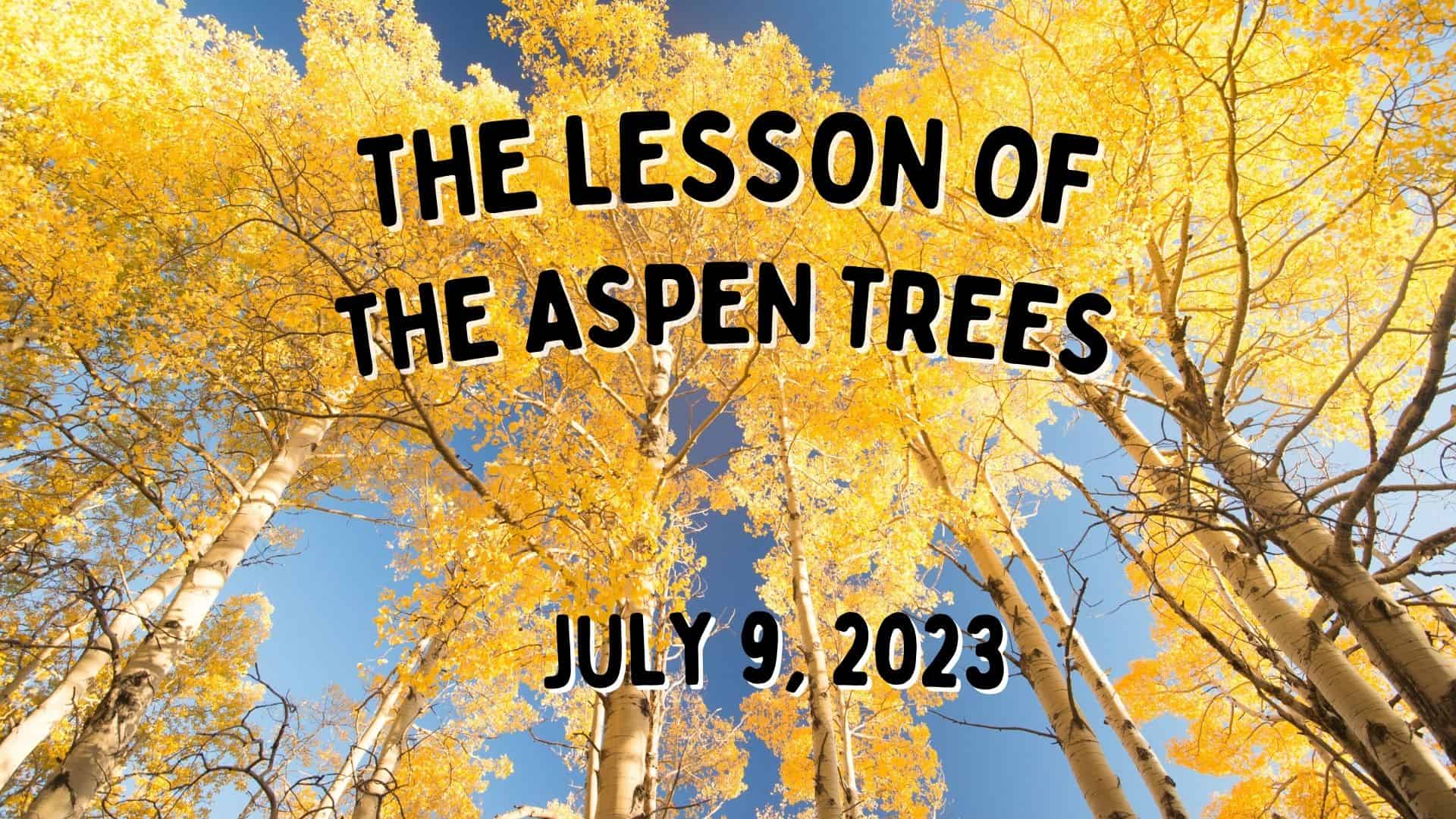 The Lesson of the Aspen Trees | First United Methodist Church of Omaha