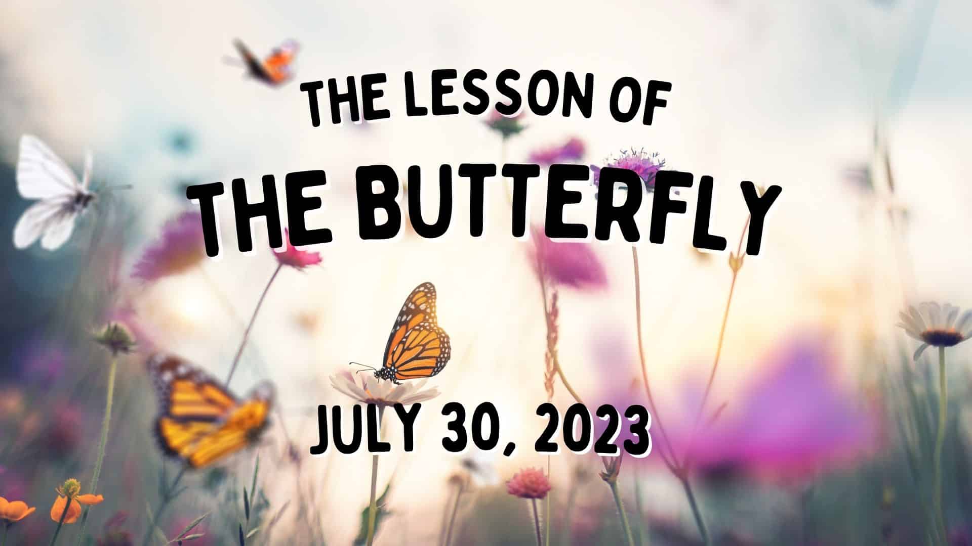 The Lesson of the Butterfly | First United Methodist Church of Omaha